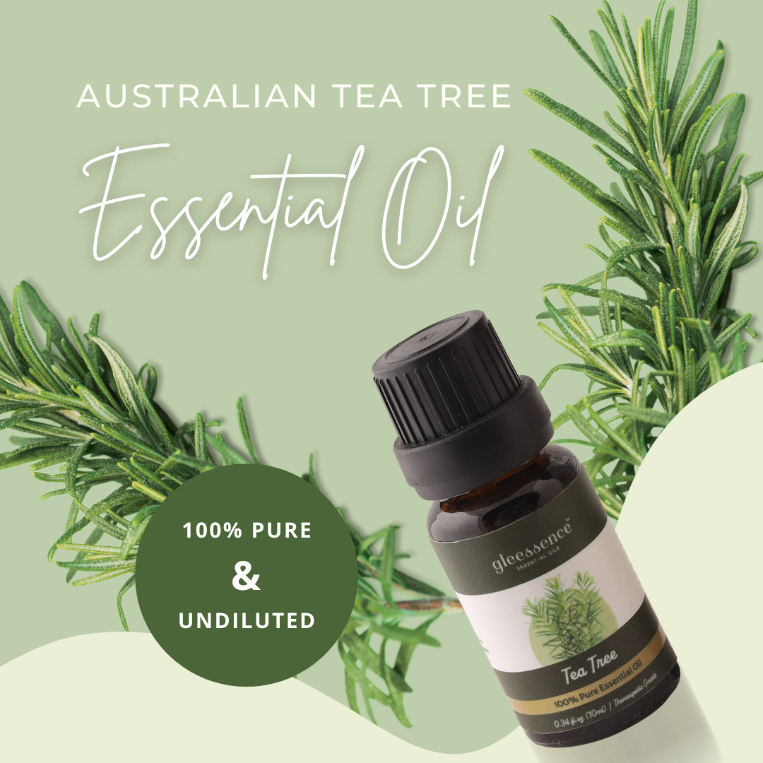 Buy Australian Tea Tree Essential Oil, 100% Natural - gleessence ...